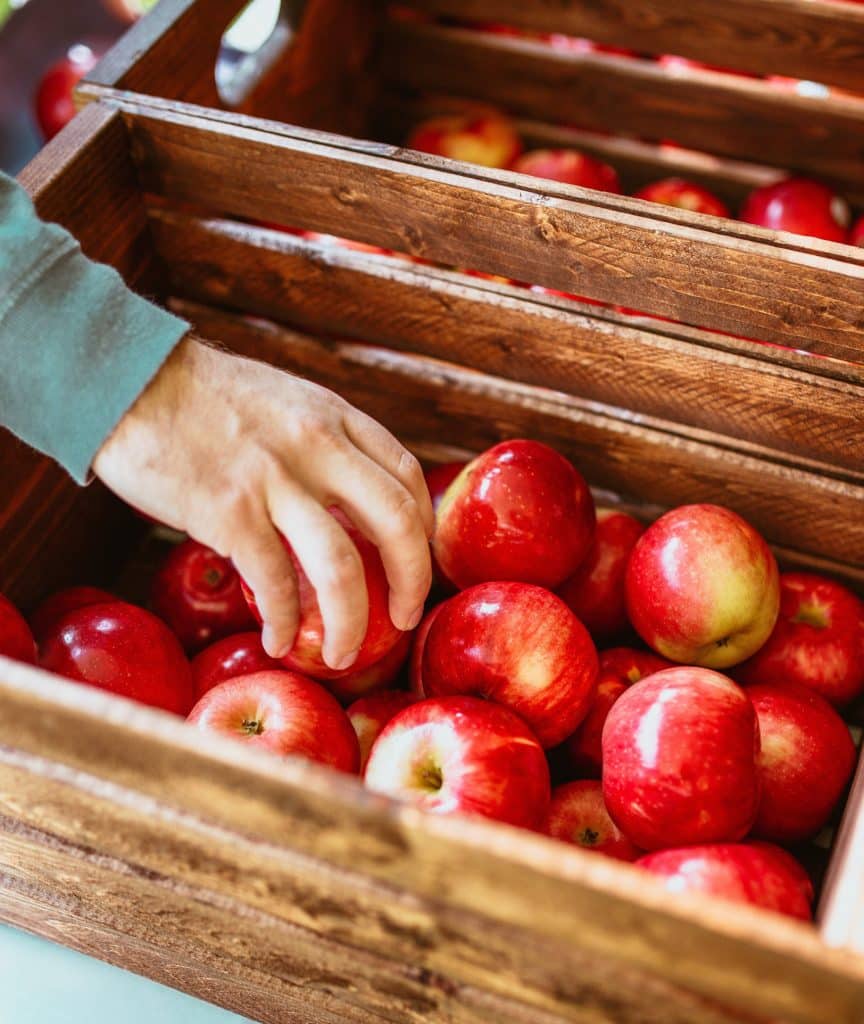 Over ons - Juicy Group