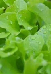 Over ons - Juicy Group